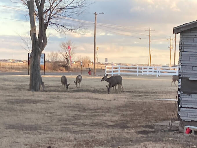 Canyon Prairie Mobile Home Park | 1406 8th Street, Canyon, TX 79015 ...