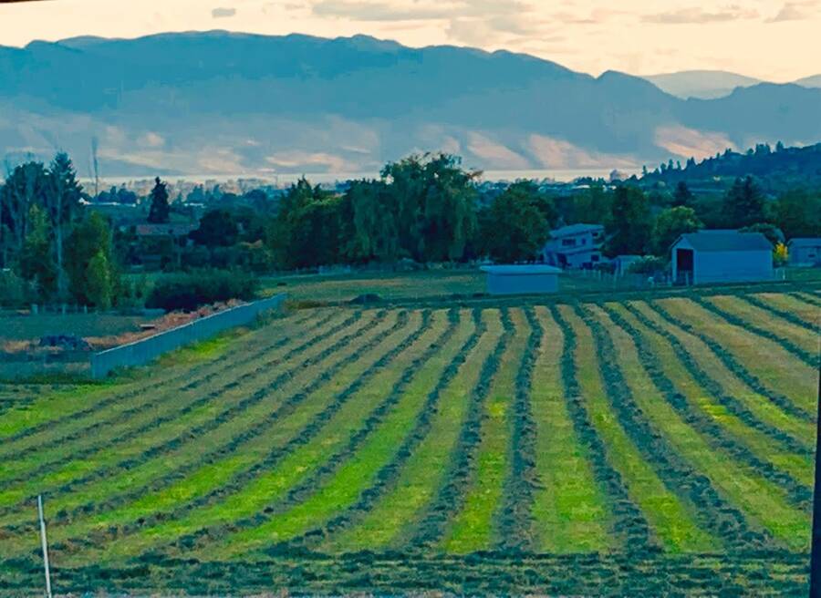 Scenic View RV Park | 2360 Scenic Road, Kelowna, BC V1V 2C8 | MHBO.com