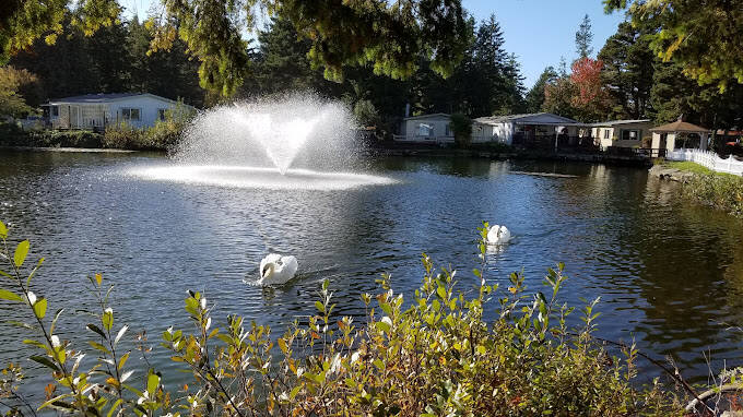 Shorepines Bay Village Mobile Home Park | 1691 Ocean Boulevard Nw, Coos ...