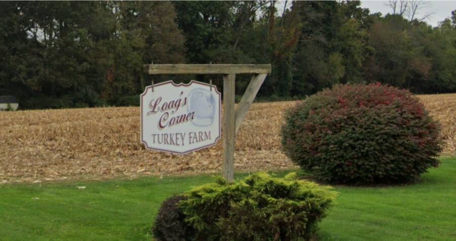 Loag's Corner | RR 82 & 345, Elverson, PA 19520 | MHBO.com