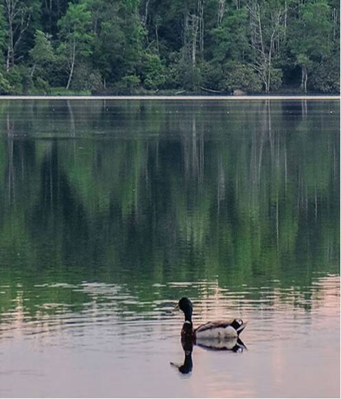 Holiday City | 553 Corbin Street, Jacksonville, NC 28546 | MHBO.com