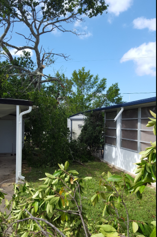 Life Village Mobile Home Park| 1 Homes Available | 500 S Nova Rd ...